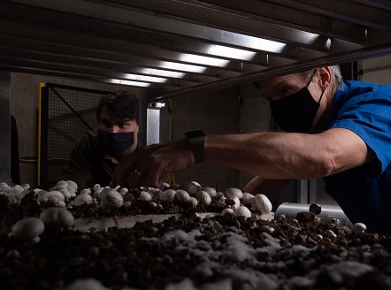 Vision Guided Robotics - 4AG Robotics - Trade and Invest BC