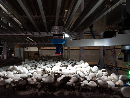 Vision Guided Robotics - 4AG Robotics - Trade and Invest BC